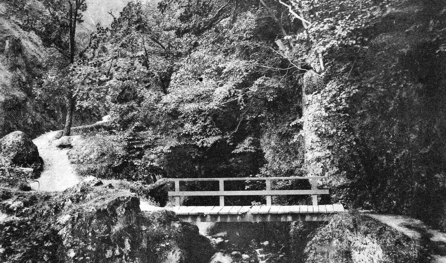 Tour Scotland: Old Photograph Alva Glen Scotland