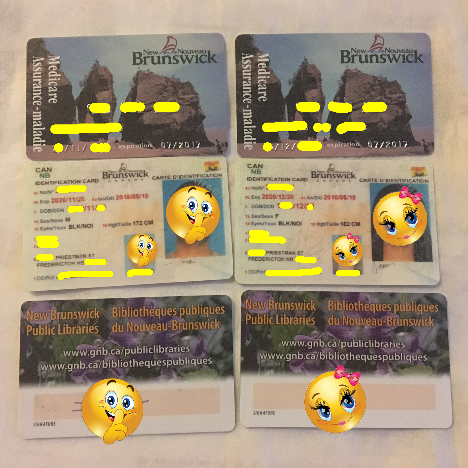 Our Canada Dream Diary: The Canadian Cards