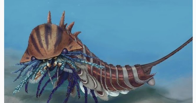 Menyeramkan.. Hewan Predator Ini Hidup 508 Juta Tahun Yang Lalu