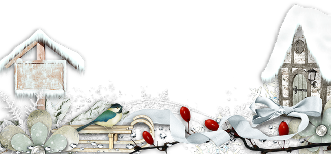 ForgetMeNot: cluster winter