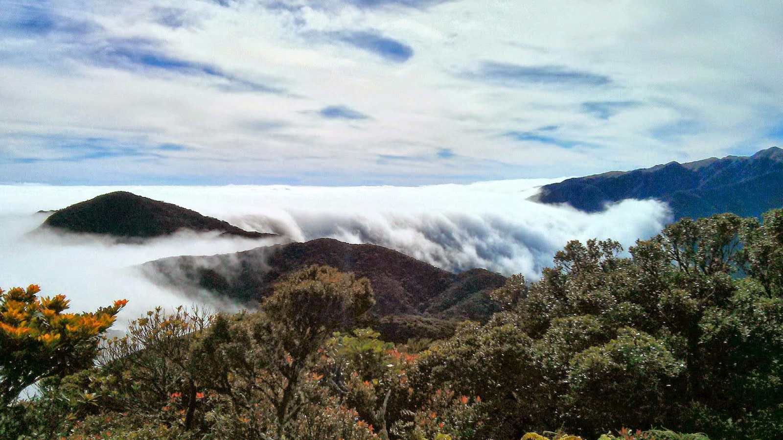 Making the Most Out of What You Have