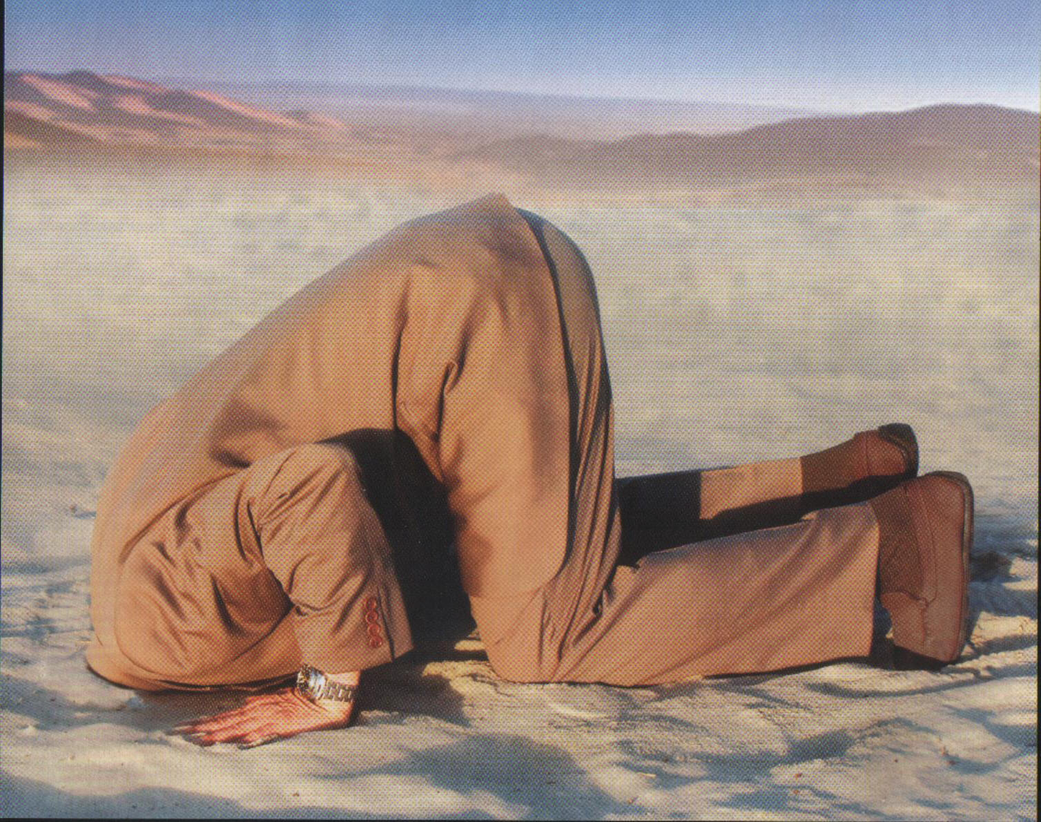 So, Arm The Syrian Rebels, Or What? Poll - Championship Subdivision ...