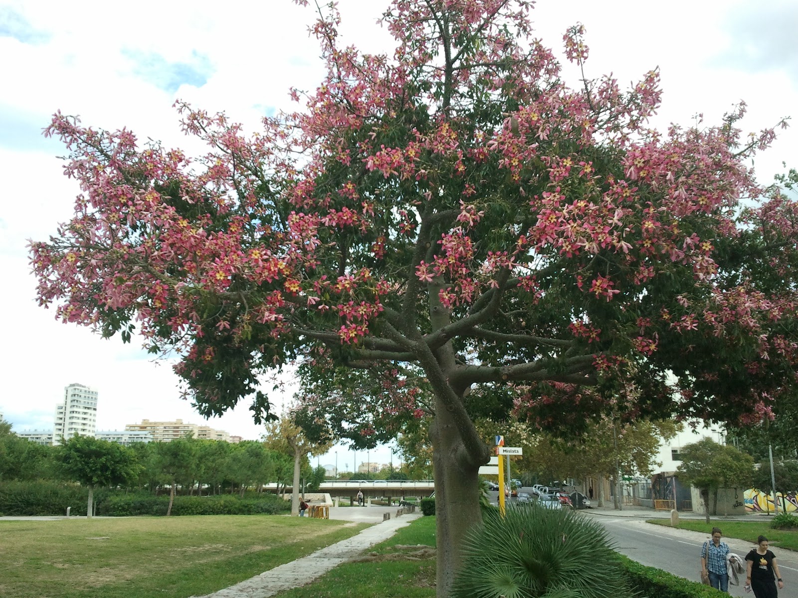 ITINERIS- J.V.Niclos: Rutas ecológicas por Valencia: pretiles, puentes ...