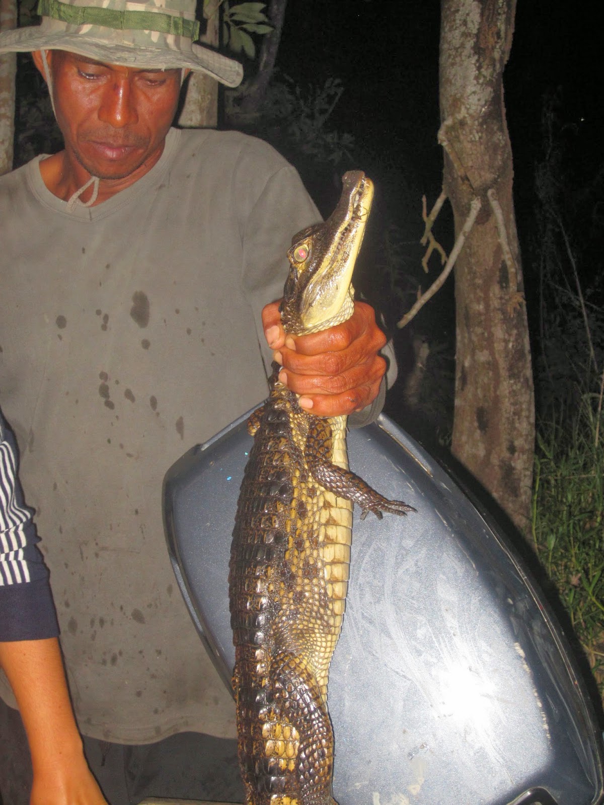 Julie in Paramaribo: Nickerie