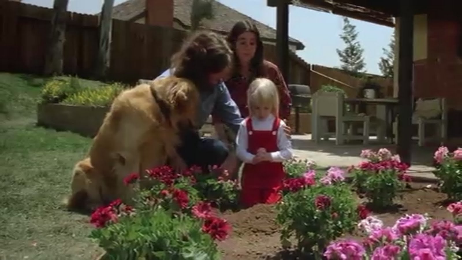 Set-Jetter & Movie Locations and More: Poltergeist (1982) revisited