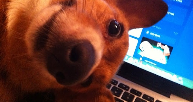 Viva la programación: BIENVENIDOS