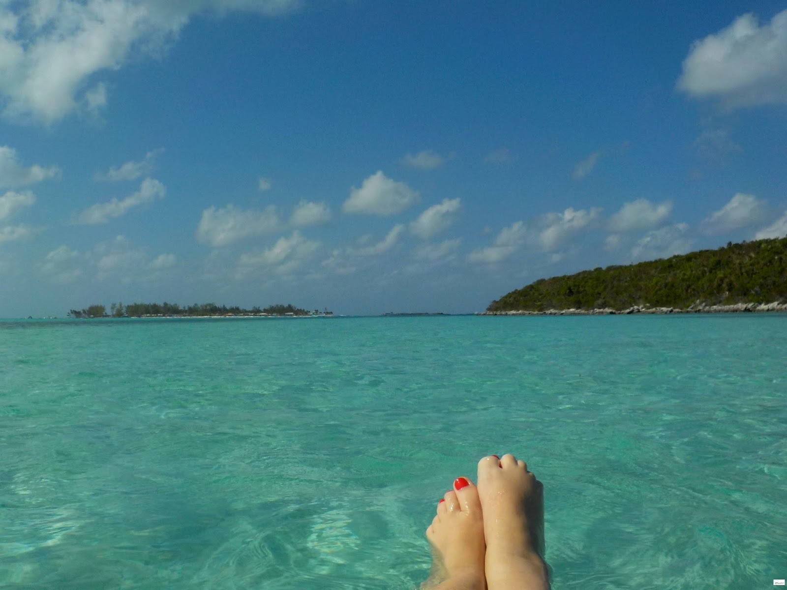 Reef Snorkeling and Sandbar Getaway Port Excursion, Coco Cay | Caravan ...