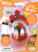 ScienceToysByAlyssa