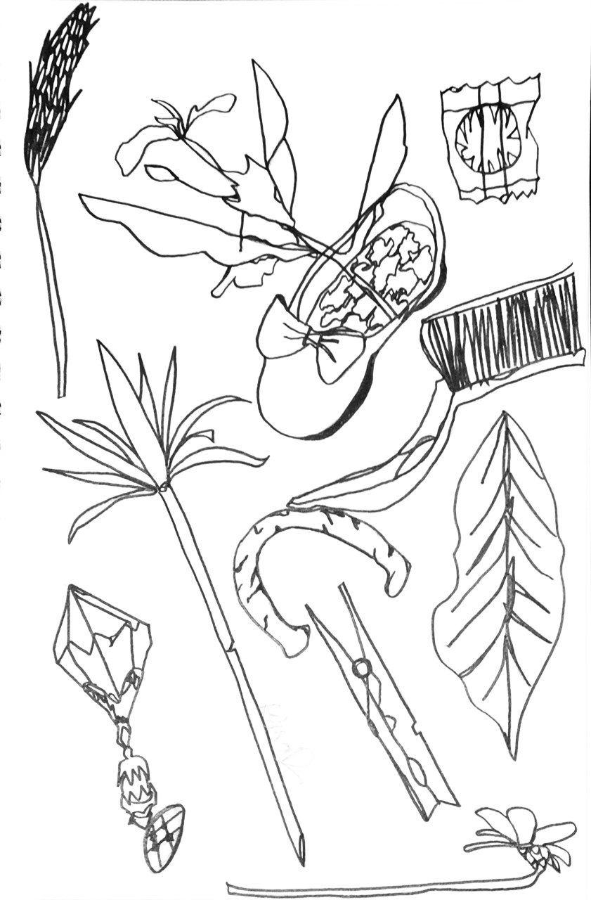 Continuous Line Drawings