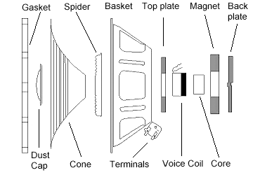 How Speaker Works ~ Electronic Engineer