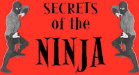 Ninja Mudra - The Ninja Secret Healing - NAQSDNA.com