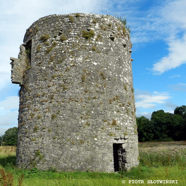 piotrslotwinski.com: Ballybeg Priory