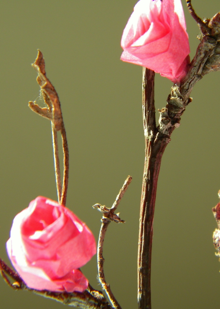 homework: Etceteras: tissue paper trees