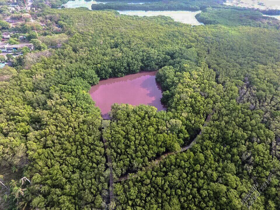 Parque regional old point