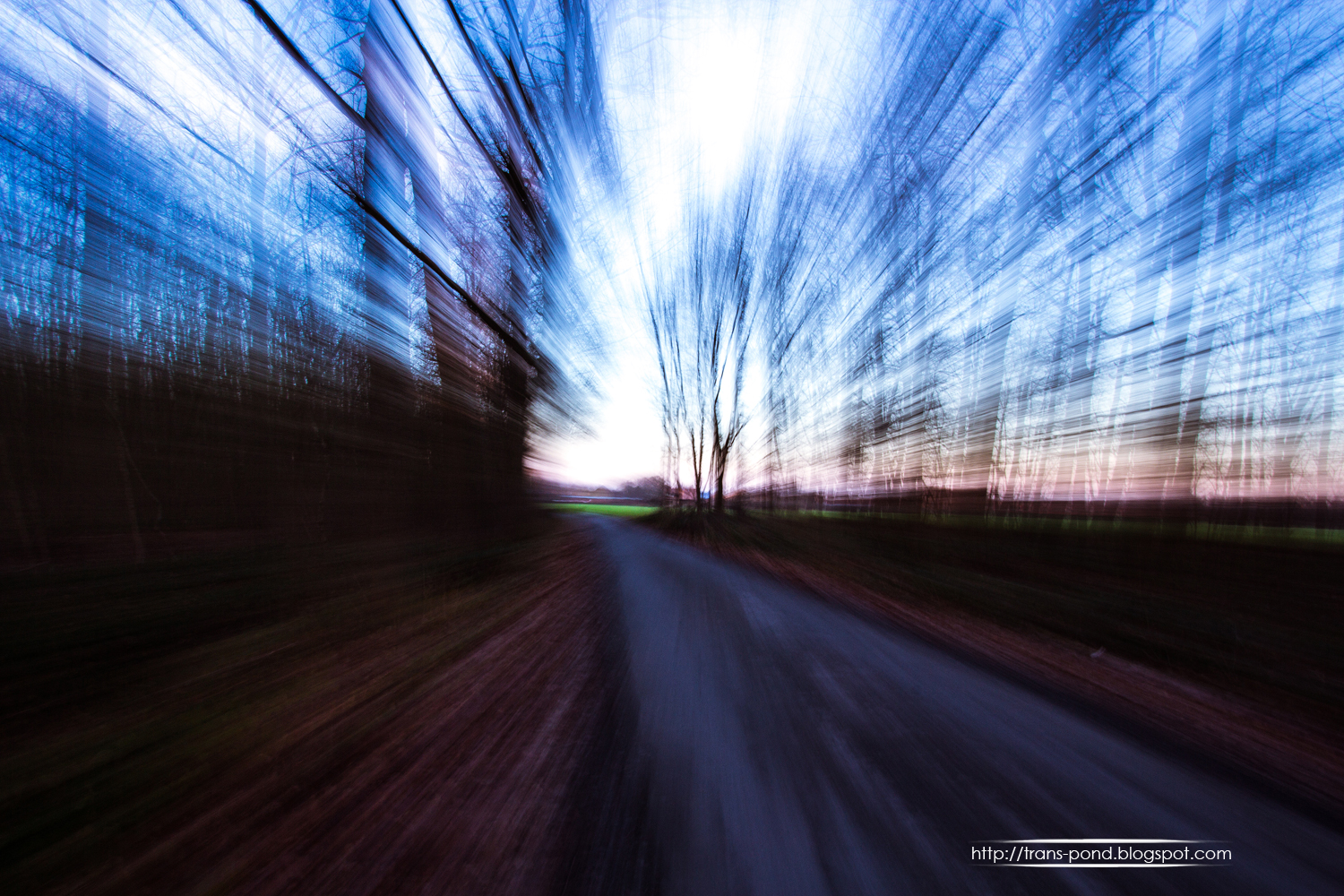 Trans Pond: Motion in a static scene