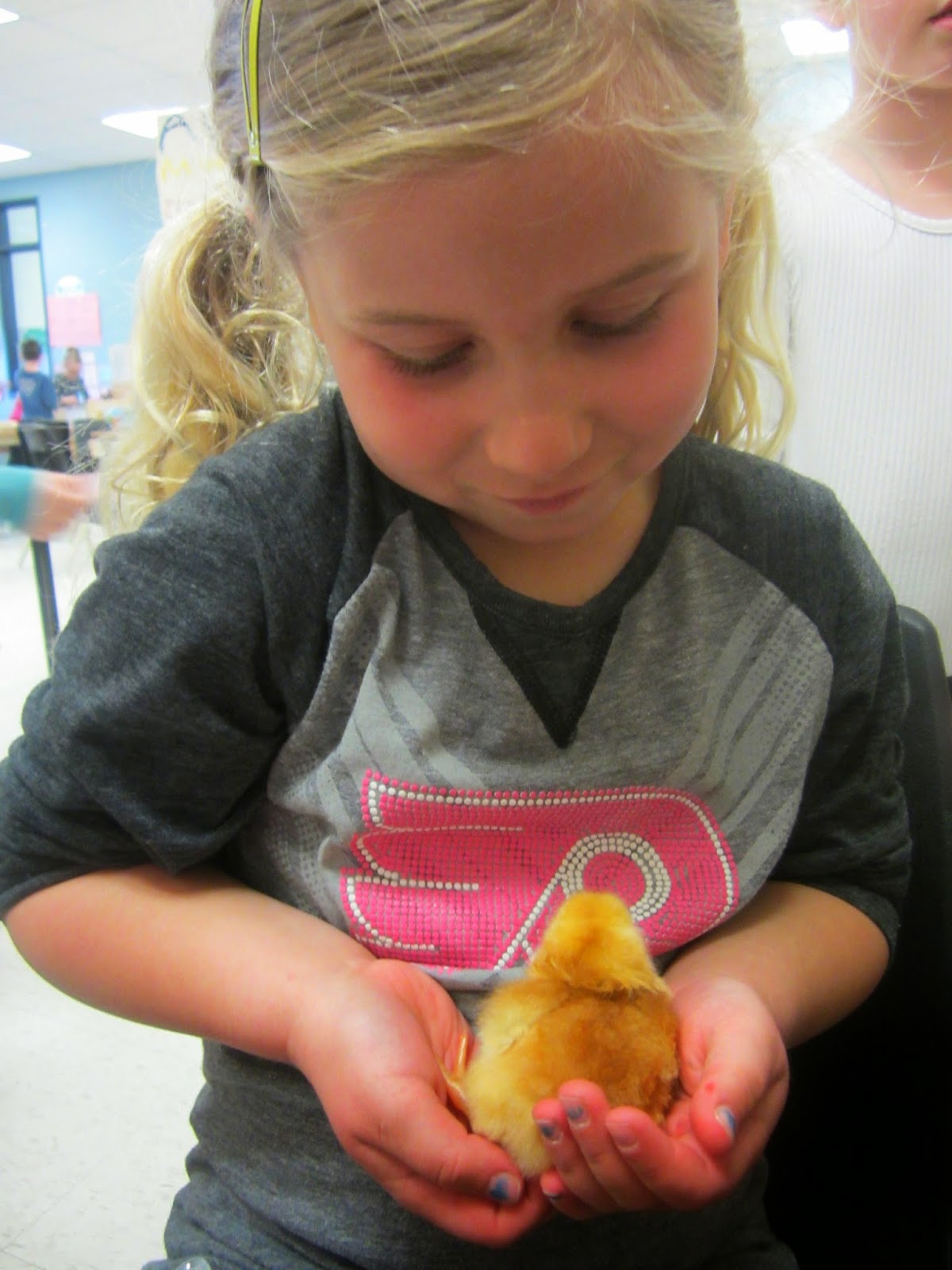 Mrs. Cremers & Mrs. Frattura's JK/SK Class