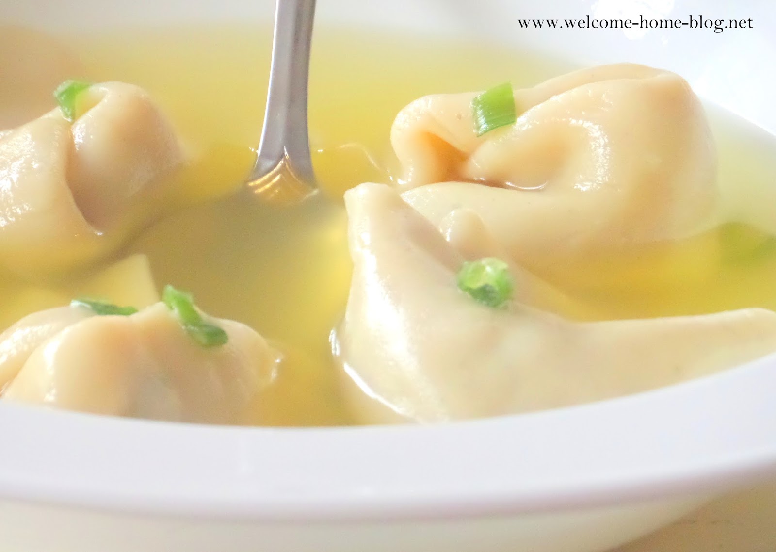 Welcome Home Blog: Homemade Won Ton Soup