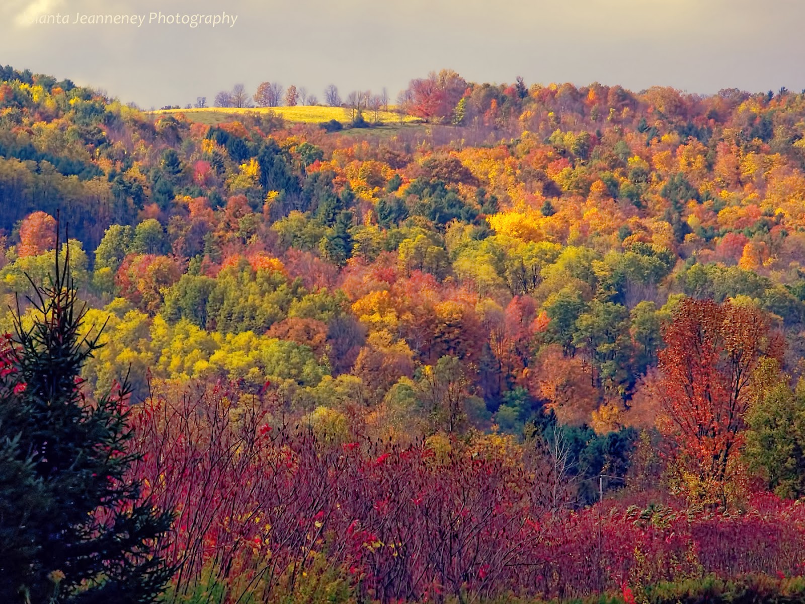 NATURE CALENDARS: Magic colors of October landscapes in the Helderbergs