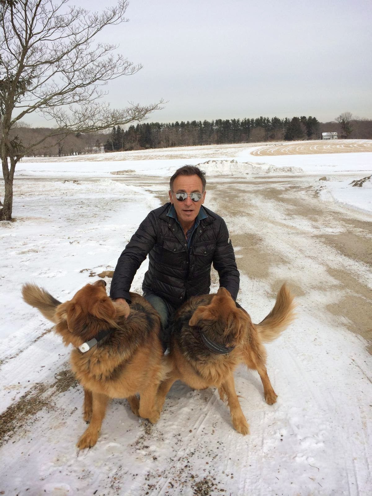 XMASTIME: Bruce Springsteen Uses Dogs for Skis. What An Asshole.