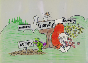 InterGrade: Instant Teaching Ideas: Adjective Attack: Descriptive ...