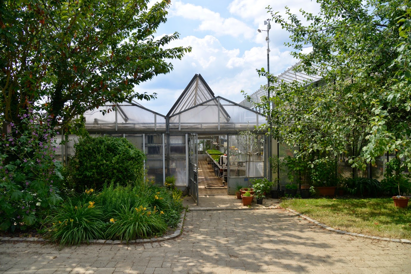 DYWYHSM: A DAY AT THE WELEDA GARDEN ...