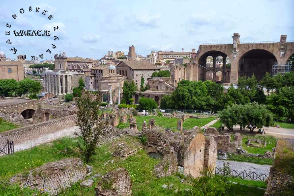 wakacje dobrze zaplanowane: Rzym - dzień drugi - Palatyn