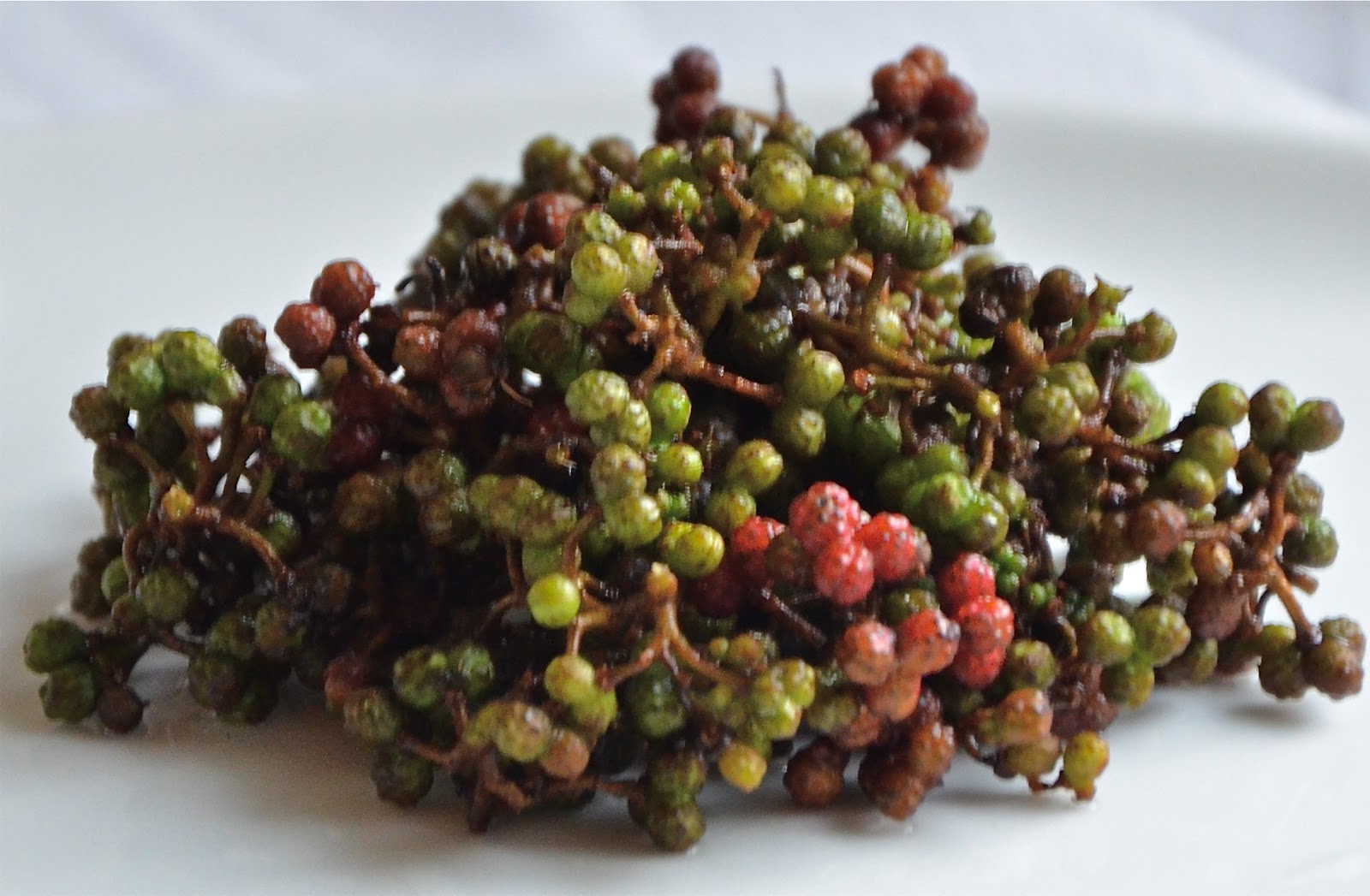 Andaliman, Bumbu khas dari tanak batak