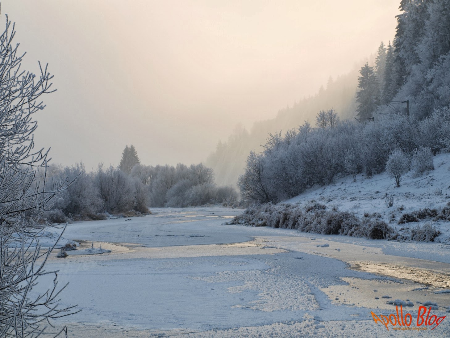 Apollo Blog: Filpea & Sarmas 25.12.2013