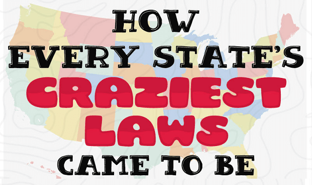 How the Craziest Laws in the United States Came To Be #Infographic ...