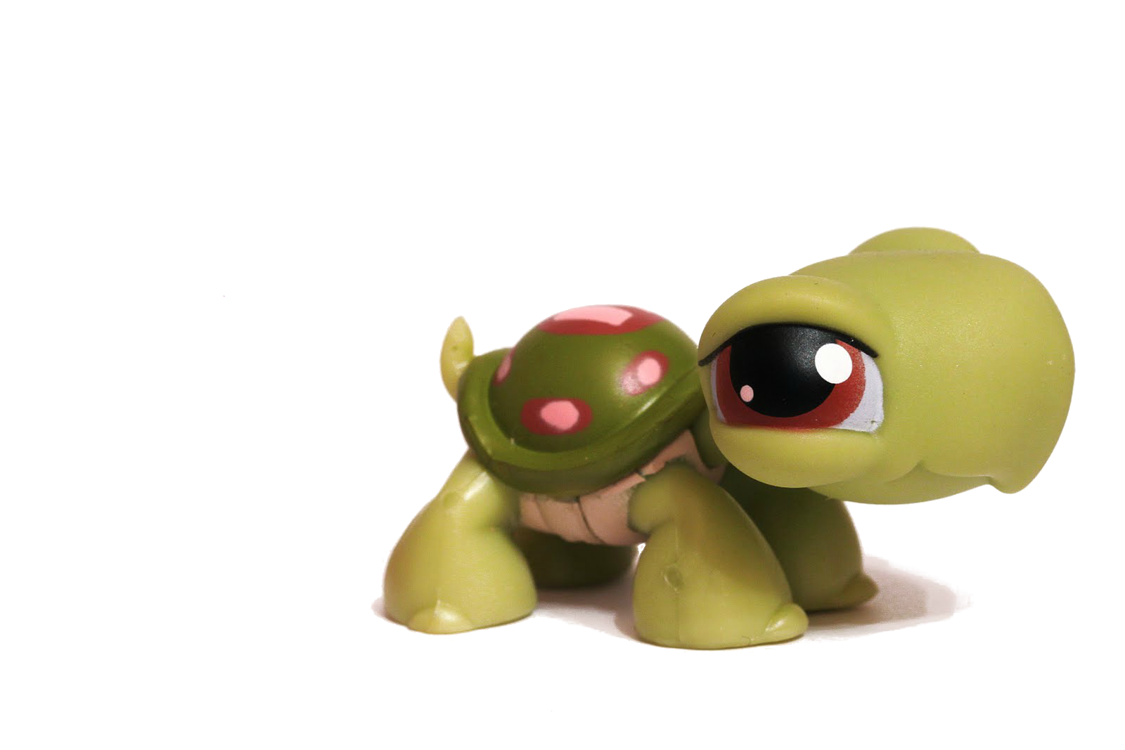 LPS Transparent : batch no.1