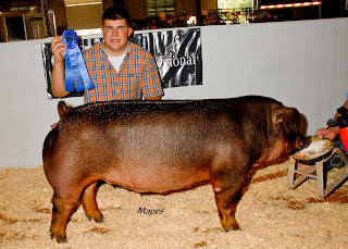 NSR Fieldview: Updated National Barrow Show® Hog College Entries