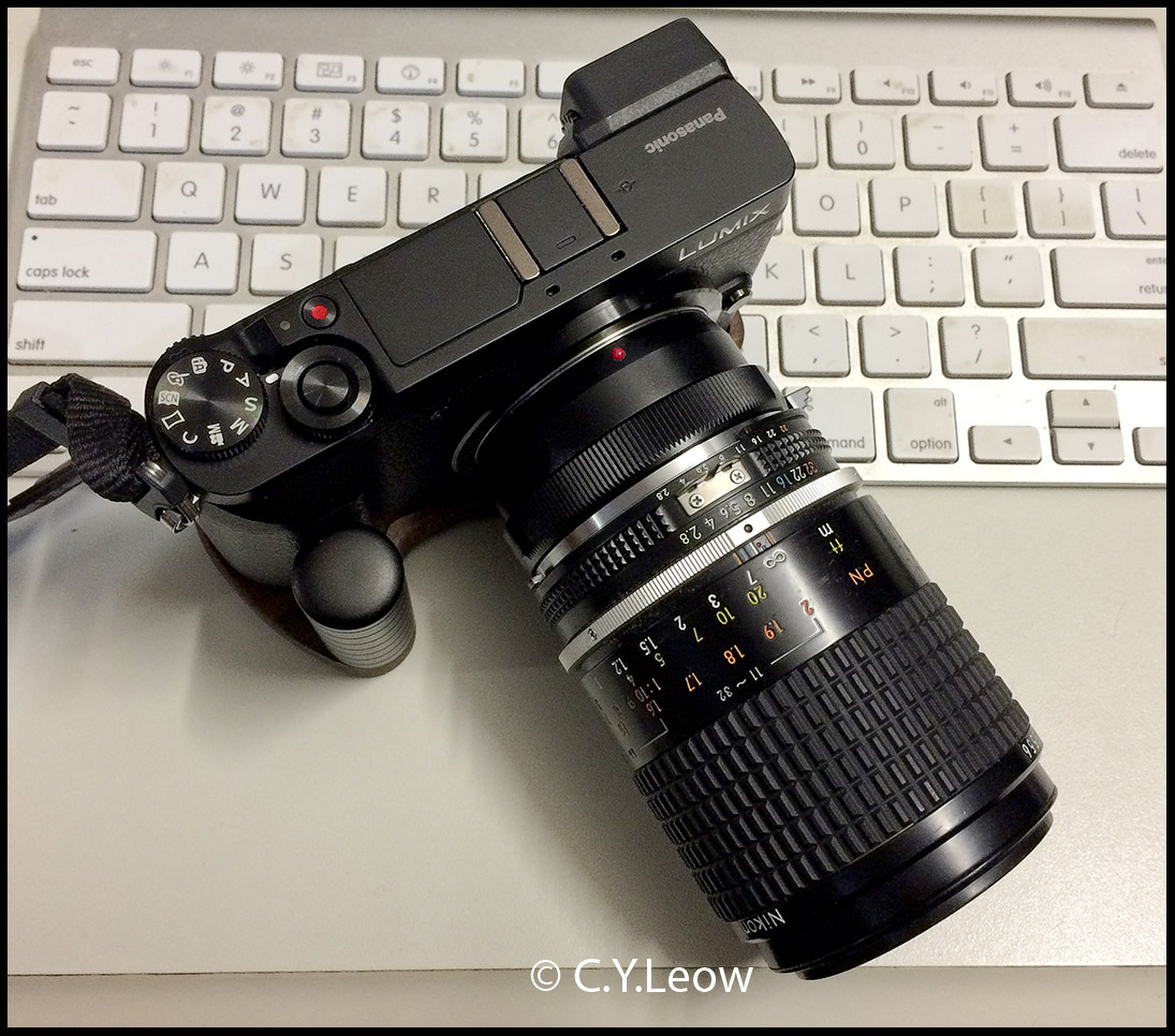 Man Behind Lens: A Better Grip for Lumix GX85