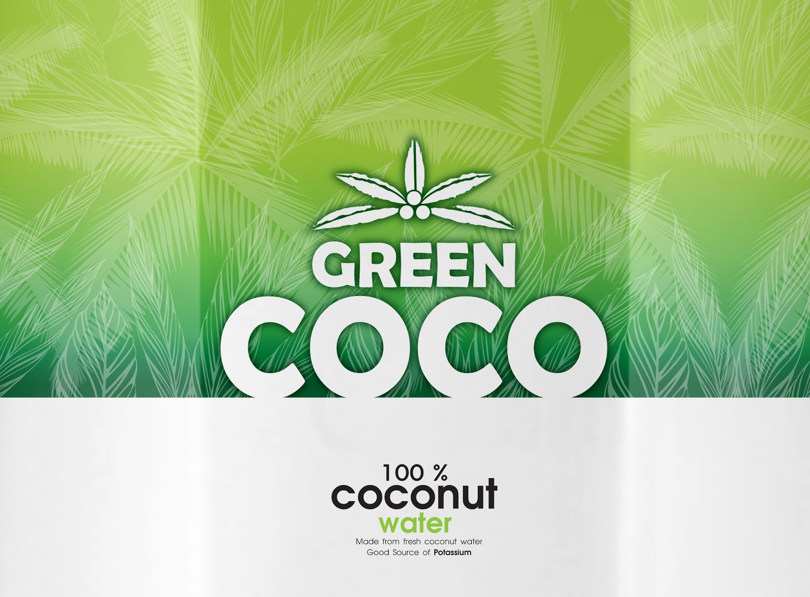 Green Coco – Packaging Of The World