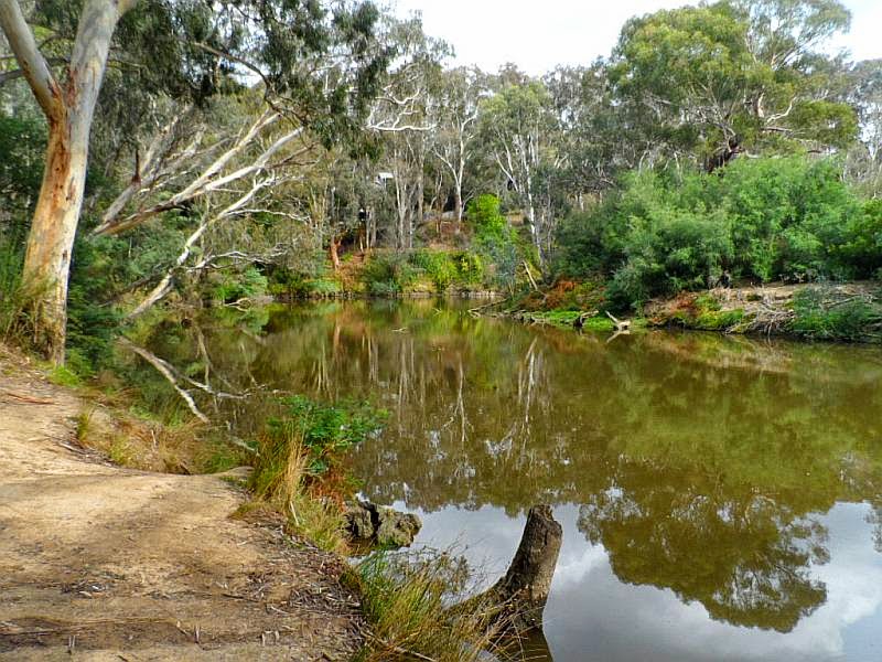 TRACKS, TRAILS AND COASTS NEAR MELBOURNE : Exploring Westerfolds' Park ...