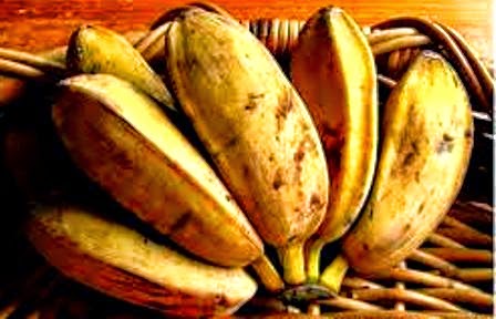 Zillaprez Blog: FOOD STUFF ... TURON ( " SABA'' or CARDAVA BANANA ...