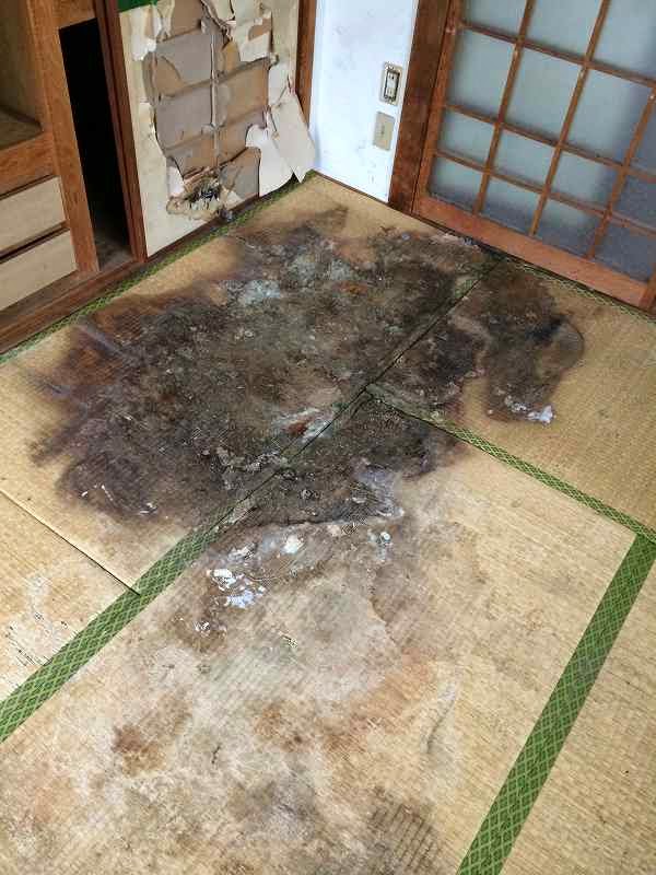 Deformutilation: Postmortem Decomposition Stains