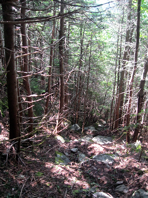 Hiking in the White Mountains: The Abandoned Adams Slide Trail