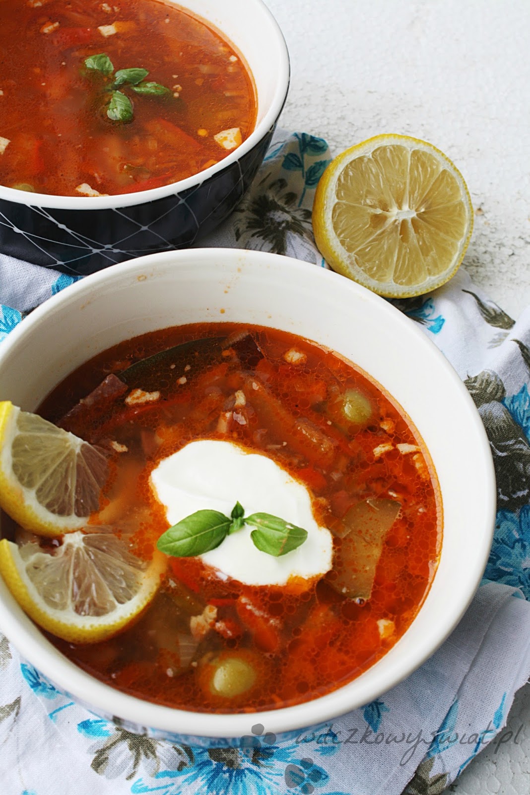 Soljanka | Wilczkowy Świat