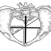 Qhy it'S MinE: PANGGUL