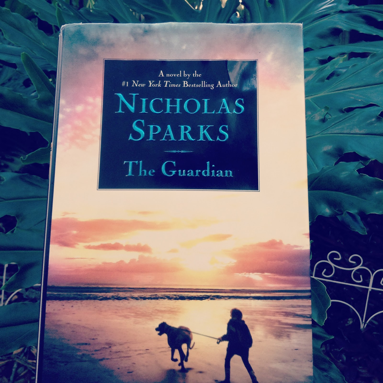 Books R' Fab: Book Review: The Guardian by Nicholas Sparks