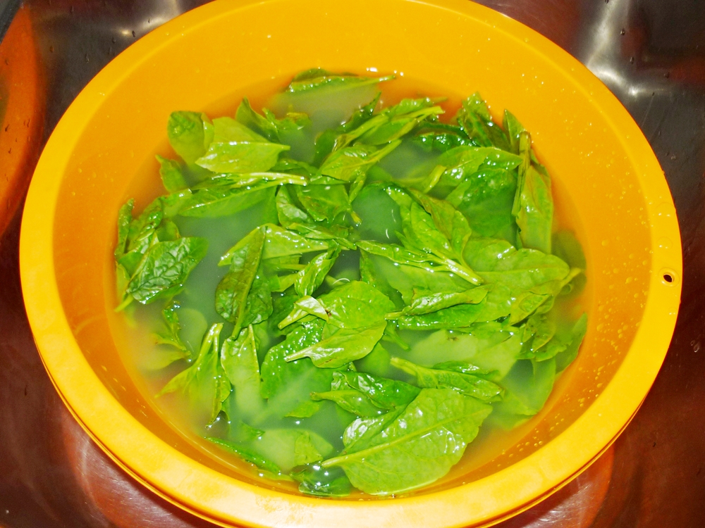 aunty celia's family meals: Stir fried emperor vegetable (王帝菜)