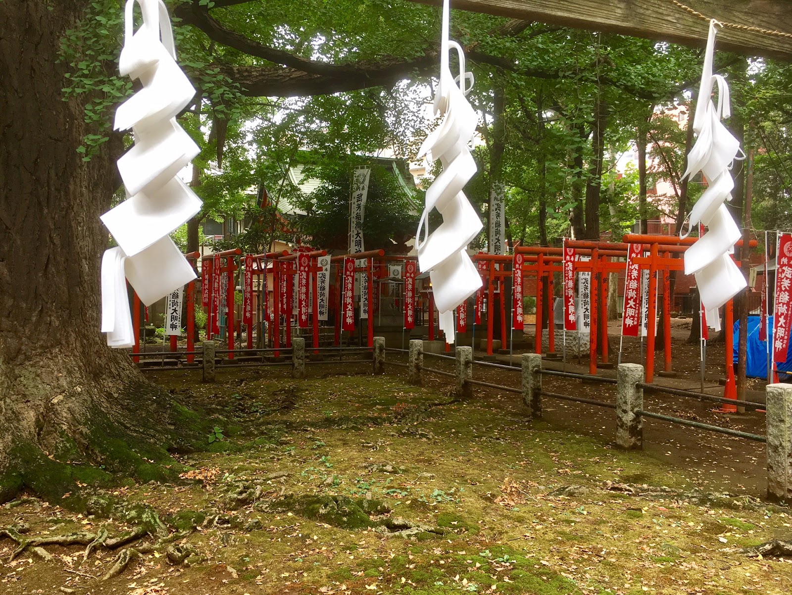 新中時 - ShinNakaJi: Zoshigaya Kishimojin Temple