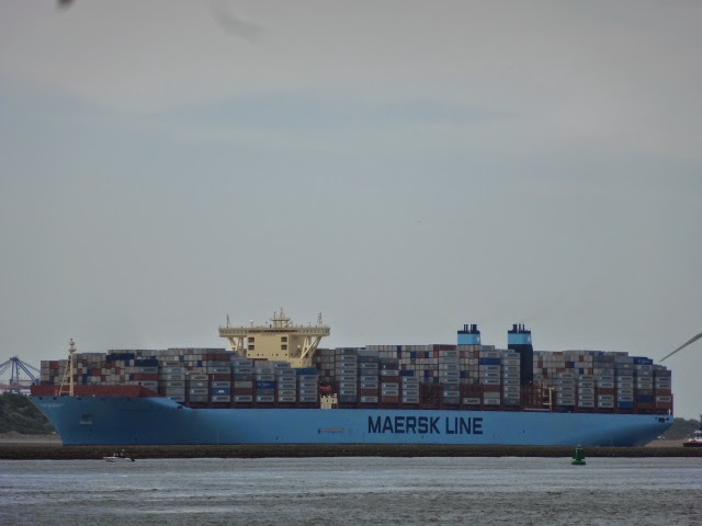 Scheepvaarthoek: Marie Maersk
