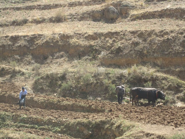Sarah en Perú: Chillen! Tarma? Ok, wenns sein muss!