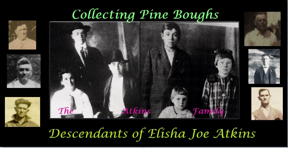 Elisha Joe Atkins and Descendants: The Atkins Family
