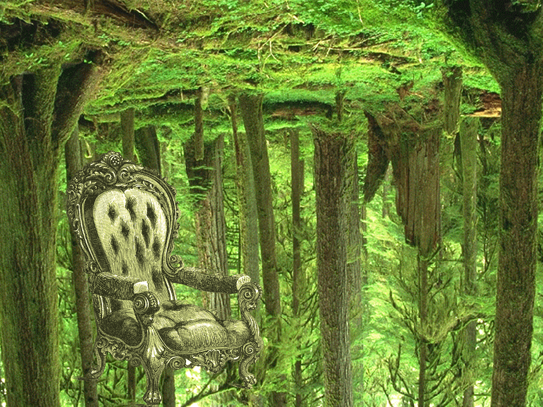 The Sky above Chairs