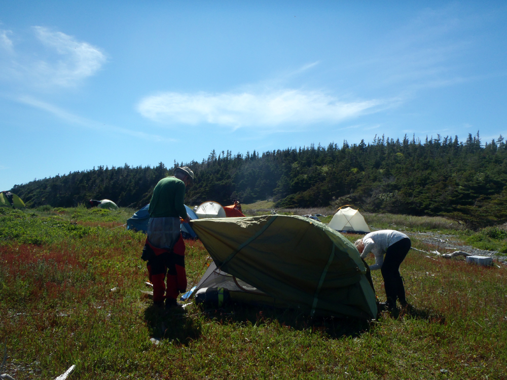 My Newfoundland Kayak Experience: Great Colinet Island (2016) Part 2