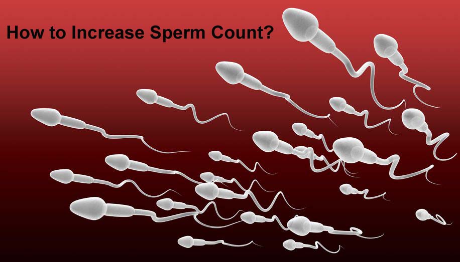 How to Increase Sperm Count? - Health Kart Club