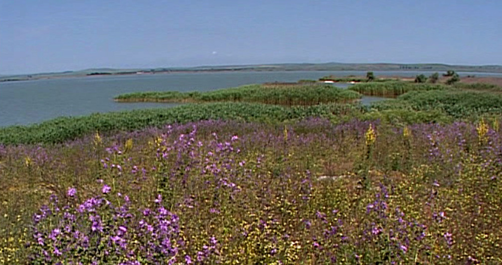 Think and Travel: Insula Popina