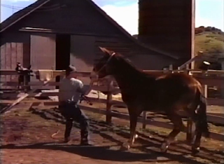 MARILYN MONROE (1926-1962): Filmography and FREE MOVIES: ¡Scudda Hoo ...